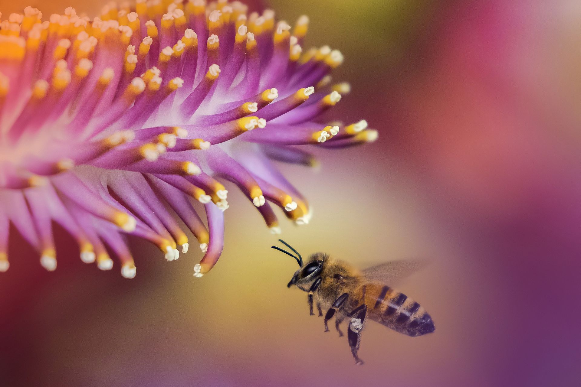 SmartLab Solutions GmbH - English - smartLAB solution